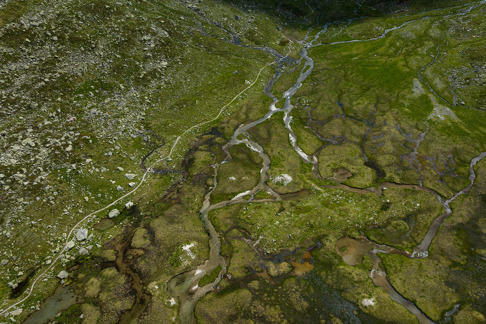 TRAILMATTERS – Filip Zuan